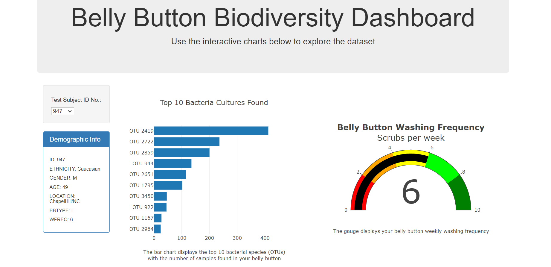 LEXIE WALLA | Portfolio